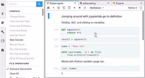 Productivity Tips For Jupyter When Working In Python And R Ripython