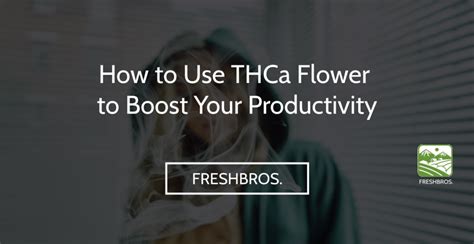How To Use THCa Flower To Boost Your Productivity Fresh Bros Hemp