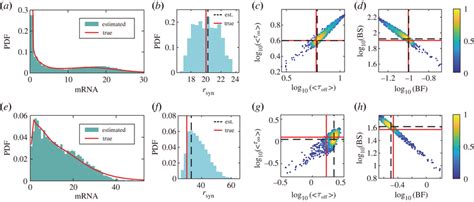 Validation Of Inferring Burst Kinetics On Synthetic Scrna Seq Data A Download Scientific