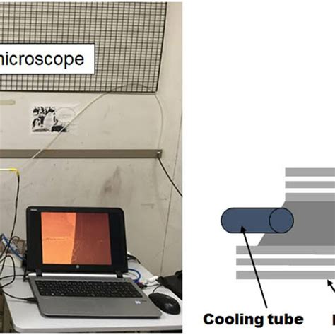 In Situ Observation System Consisting Of A Crystal Growth Furnace And A