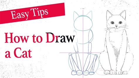 How To Draw A Anime Cat Step By Step