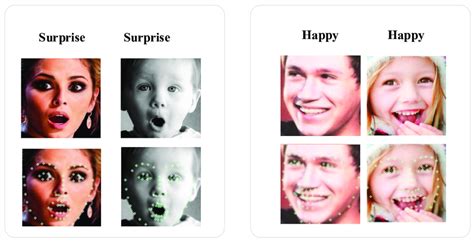 intra class differences are unrelated to expressions the facial