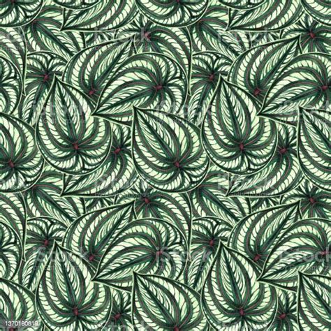 수채화 그림 다채로운 열대 녹색 잎 원활한 패턴 배경 수채화 손으로 그린 일러스트 트로피아 이국적인 잎 인쇄 벽지 직물 하와이 알로하 여름 스타일 0명에 대한 스톡 벡터