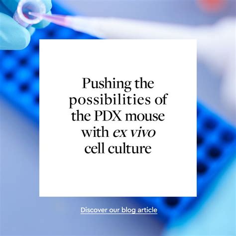 Promocell On Linkedin Cancerresearch