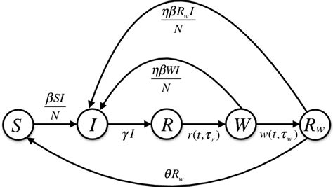 Schematic Diagram For The Basic Structure Of The Model In The Absence