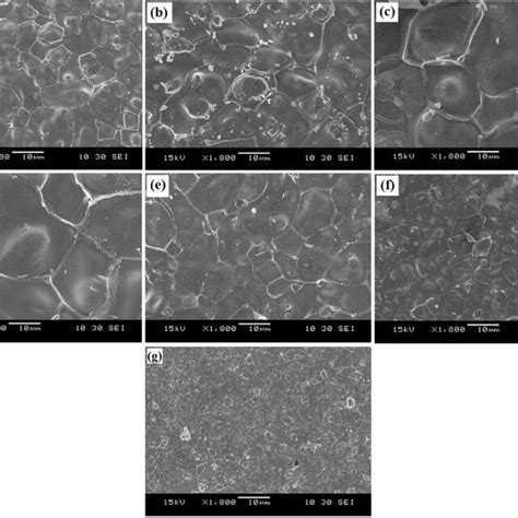 Typical Sem Micrographs Of Zno Nanoparticles Bi2o3 Based Varistor
