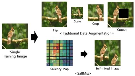 Image Data Augmentation For Computer Vision Visoai