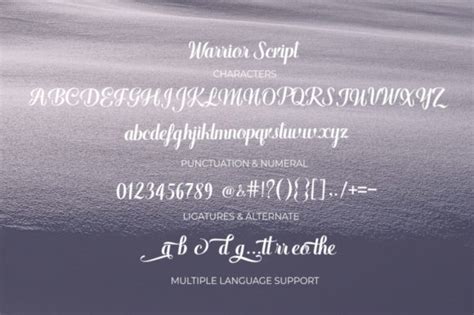 Warrior Script Font By Typehill Creative Fabrica