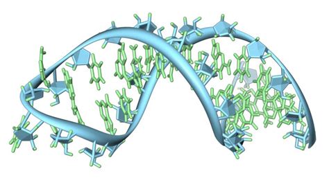 Nucleic Acid Monomer Science Trends