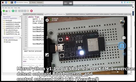 Embedded Things Micropythonesp32 C3 Devkitm 1 Exercise Onboard Boot