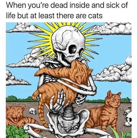 Patrick Lee Morrison