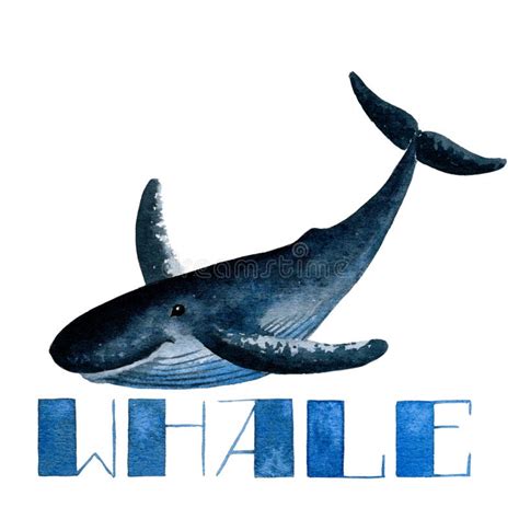 欢快的蓝鲸字母 库存照片 图片 包括有 游泳 快乐 生活 海豚 英语 字体 了解 海洋 285064512