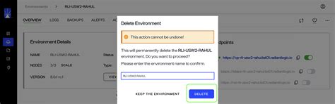 delete an environment radiant logic documentation