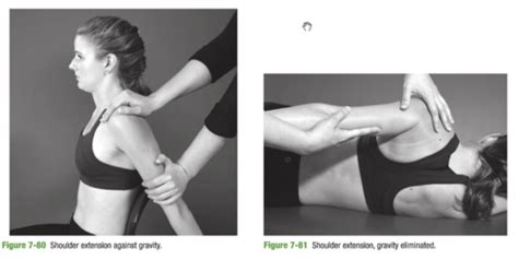 Mmt Lab Flashcards Quizlet