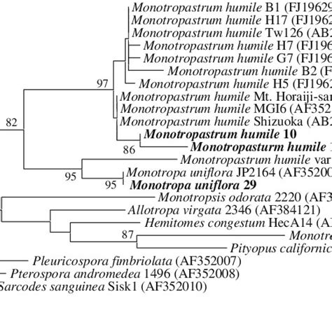 One Of The 2 103 Maximum Parsimony Phylogenetic Trees Constructed From Download Scientific