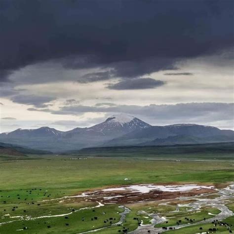 Отгонтэнгэр болон байгалийн уран зургийн захиалга худалдаа Ulaanbaatar