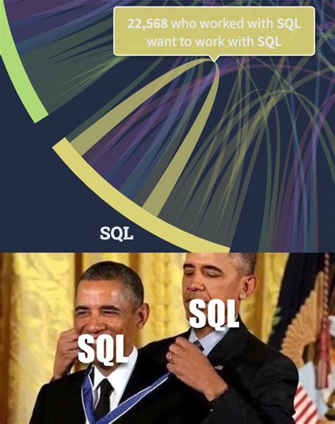 stackoverflow results are in r programmerhumor