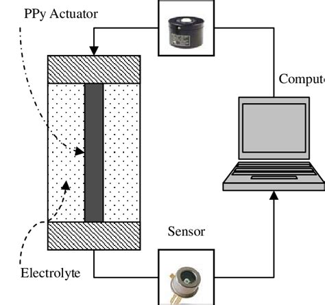 Schematic Of The Experimental Setup Download Scientific Diagram