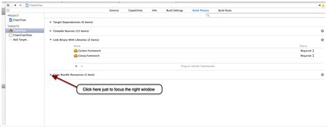 Iphone How To Programmatically Display Version Build Number Of Target