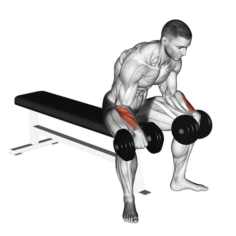 Dumbbell Wrist Curls Muscles Worked And More Inspire Us