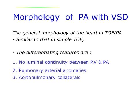 Ppt Surgical Treatment Of Pa With Vsd Withoutwith Mapca Powerpoint Ppt Surgical Treatment Of Pa With Vsd Withoutwith Mapca Powerpoint