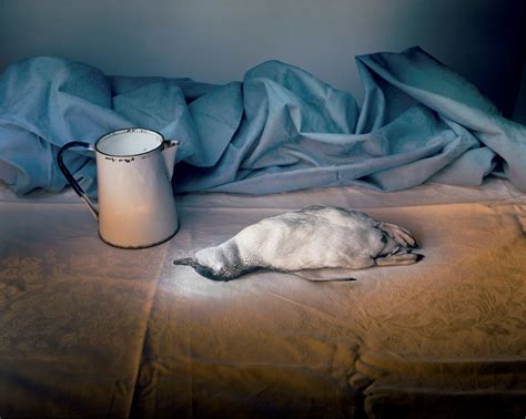 Marian Drew Biography Artworks And Exhibitions Ocula Artist
