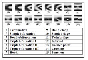 Different Types Of Minutiae Download Scientific Diagram