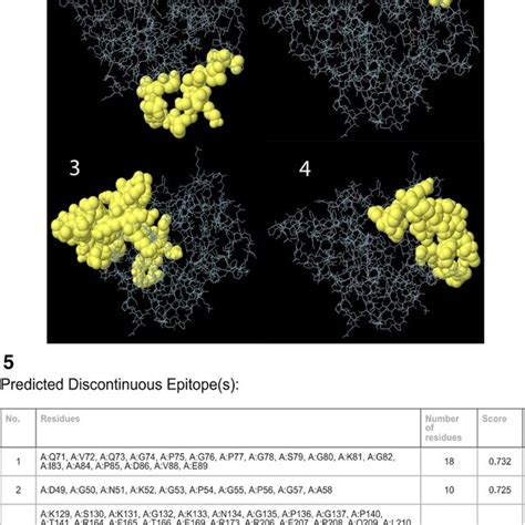 15 Discontinuous B Cell Epitopes Of Multi Epitope Vaccine Predicted