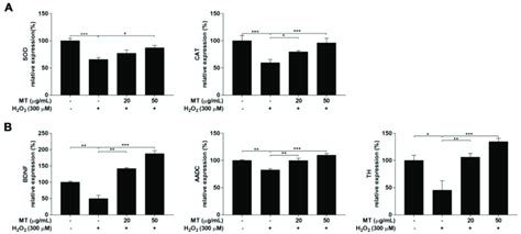 Effects Of Mt On The Expression Of Genes Encoding Antioxidant Enzymes