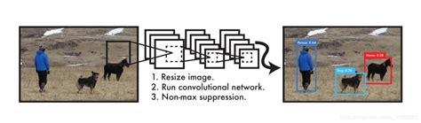 yolo模型详解 csdn博客
