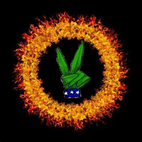 დაბოლილები ツ