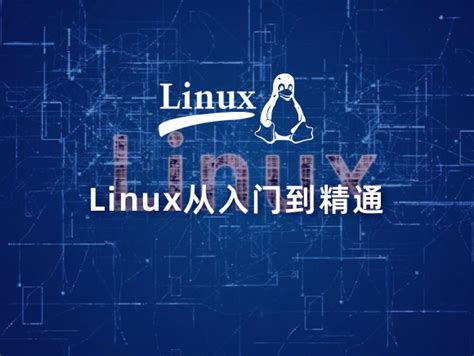 头歌实践教学平台