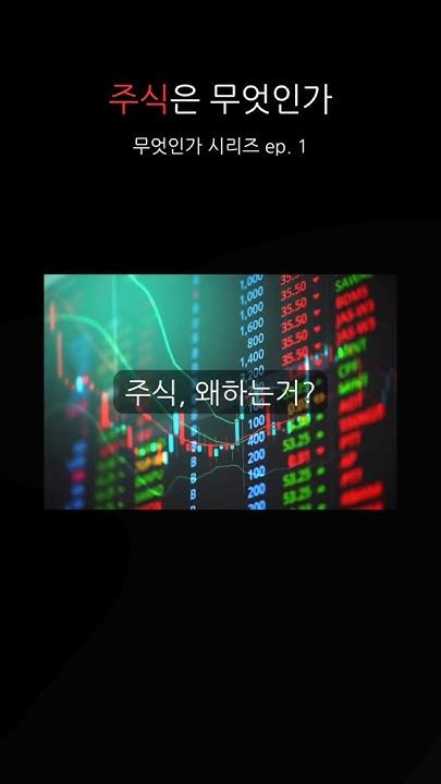 주식 투자를 하는 이유 경제 주식 주식투자 금융상품 Youtube