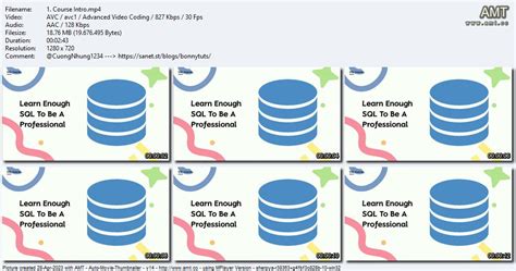 Sql Mastery Learn Enough Sql To Be A Professional [2023] Softarchive