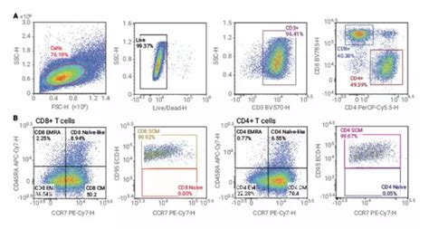 纯干货分享！流式专题｜免疫表型分析 知乎