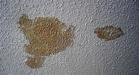 Дефекты при покраске стен и причины их появления Строительный двор Дзен