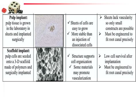Regenerative Endodontics And Revascularization Pptx