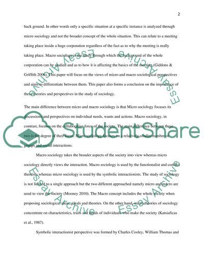 The Differences Between Macro And Micro Sociology Essay