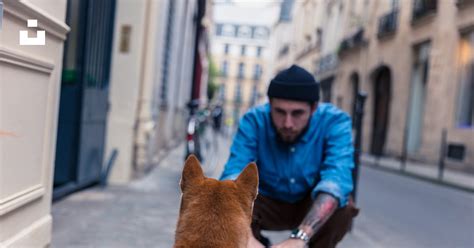 갈색과 베이지 색 개 사진 Unsplash의 무료 파리 이미지