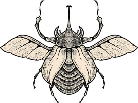 Premium Vector Rhinoceros Beetle