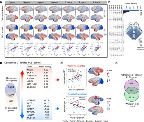 Consensus Gene Expression Profiles Related To Dynamic Variation Of