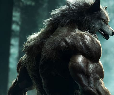 Werewolf A9 By Gelofuego On Deviantart