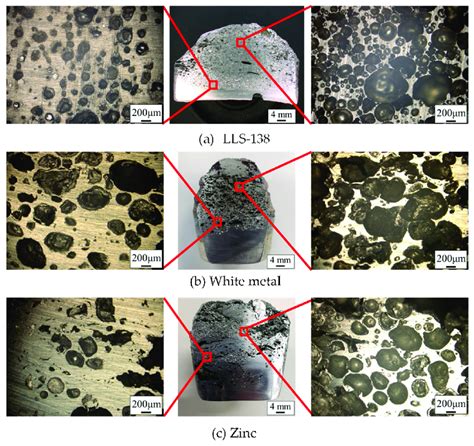 Cross Sectional Image Of The Fabricated Porous Metals Download Scientific Diagram
