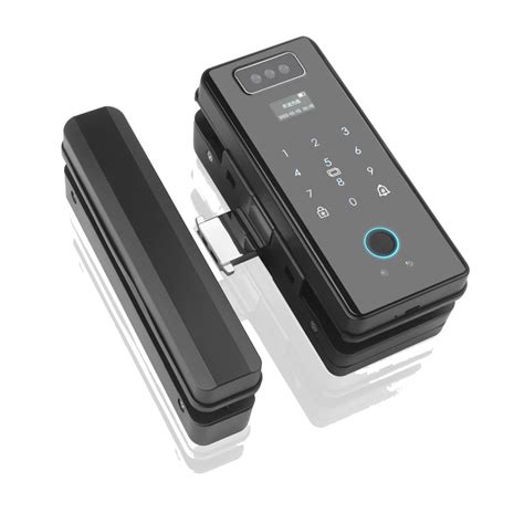 Home Electronic Smart Face Lock Digital Biometric Fingerprint Door Lock Manufacturer