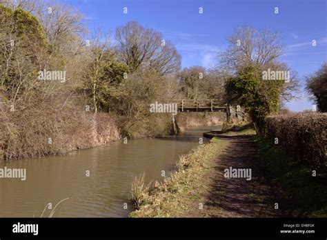 The Restored Berks And Wilts Canal Near Wootton Bassett In Wiltshire