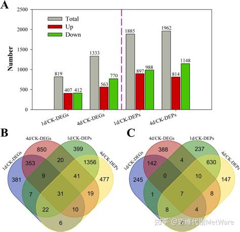 文献解读 结合形态学，转录组以及蛋白组学研究木质素生物合成对镉耐受性的分子机制 知乎