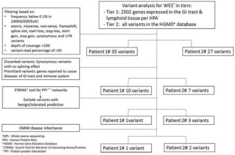 Tiered Filtering Strategy For The Variants Identified By Wes