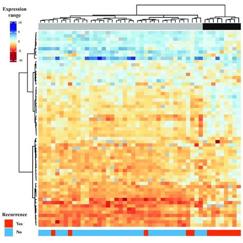 Supervised Hierarchical Clustering Analysis Comprising 61 Genes
