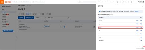 使用 域名 接口路径 调用后台接口 windows 系统 接口可以通过域名访问吗 csdn博客