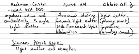 Lab Final Practical Flashcards Quizlet